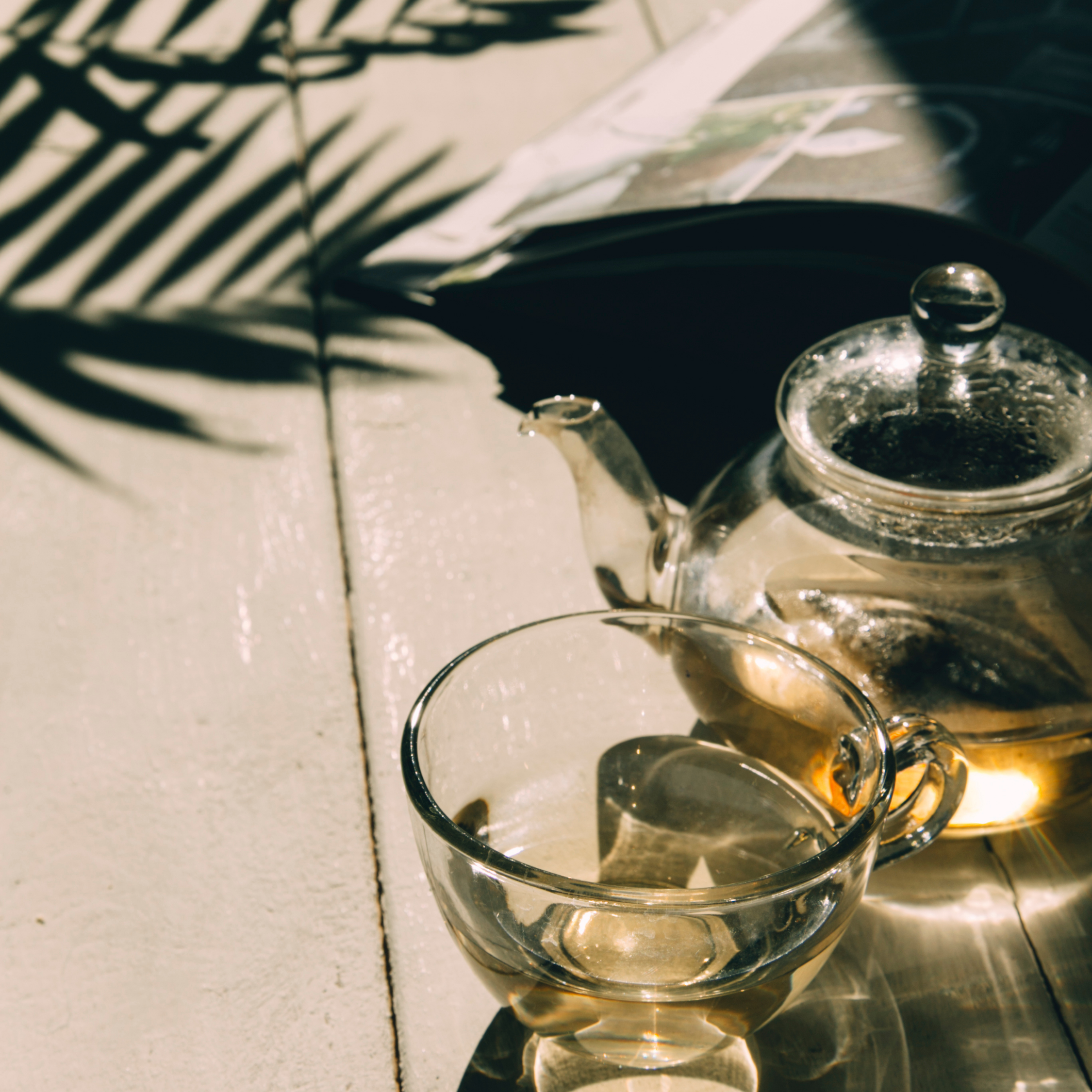 Premium Herbal Teas | Natural Health Infusions | Zen Maitri